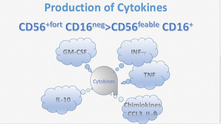 Cytokines: types – Lifext Research Group